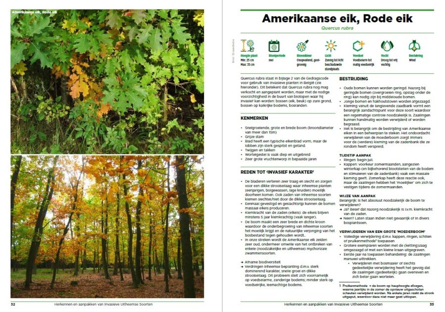 Invasieve exoten en plantenziekten | Centrum Duurzaam Groen